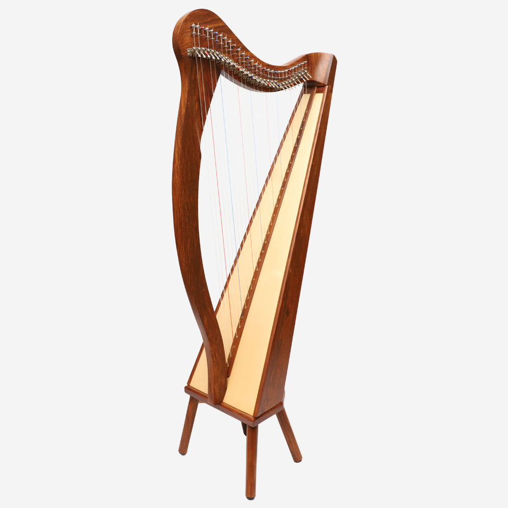 Collections – Muzikkon