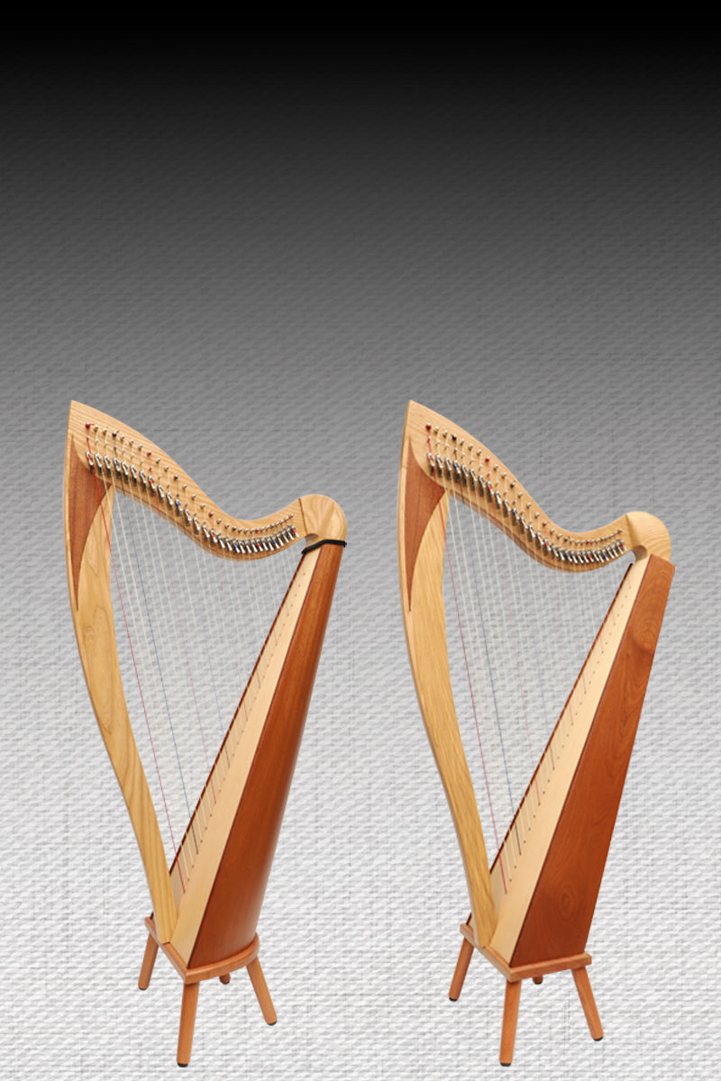 Buy Musical Instruments Online From Irish Music Store | Muzikkon