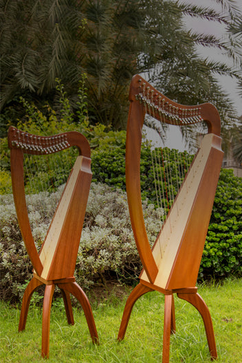 Buy Musical Instruments Online From Irish Music Store – Muzikkon