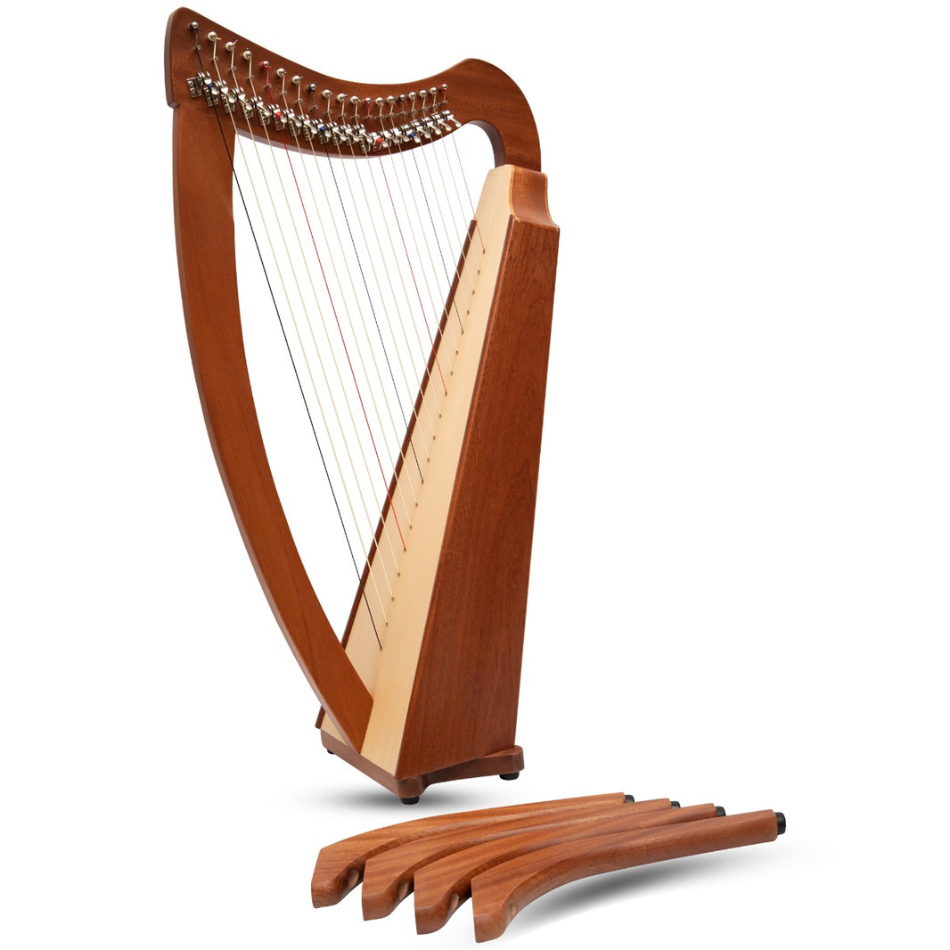 Buy Musical Instruments Online From Irish Music Store – Muzikkon